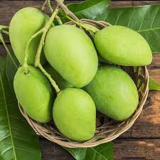 Vellari Mango Grafted Fruit Plant – Green Hut Eco Farm